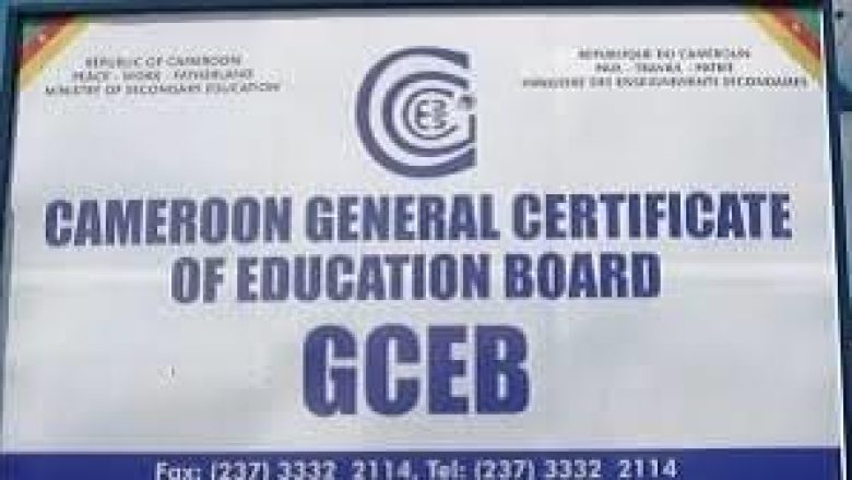 Cameroon : 2024 GCE Results Released - Journal du Cameroun